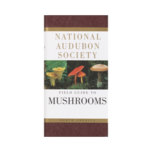 Wild Mushroom Foraging