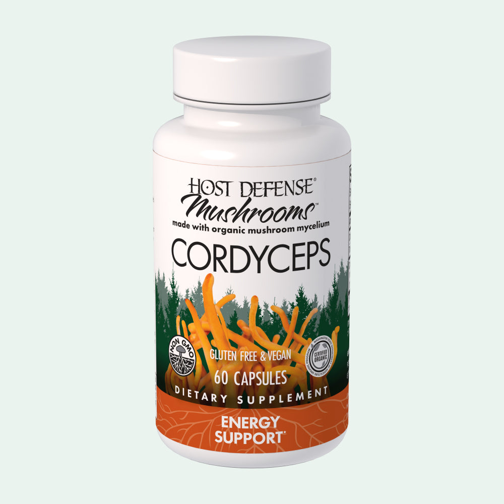 Cordyceps Capsules