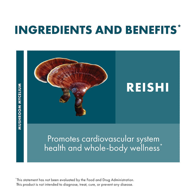 Reishi Capsules