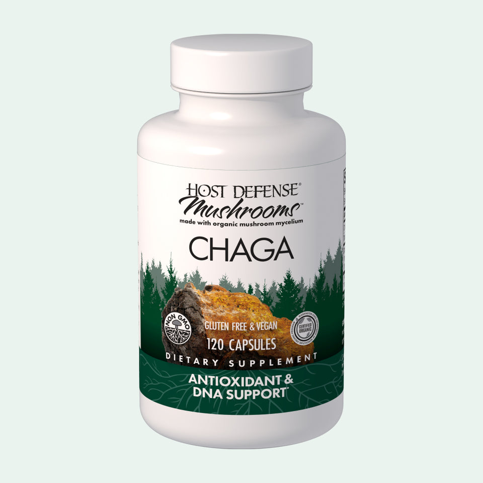 Chaga Capsules