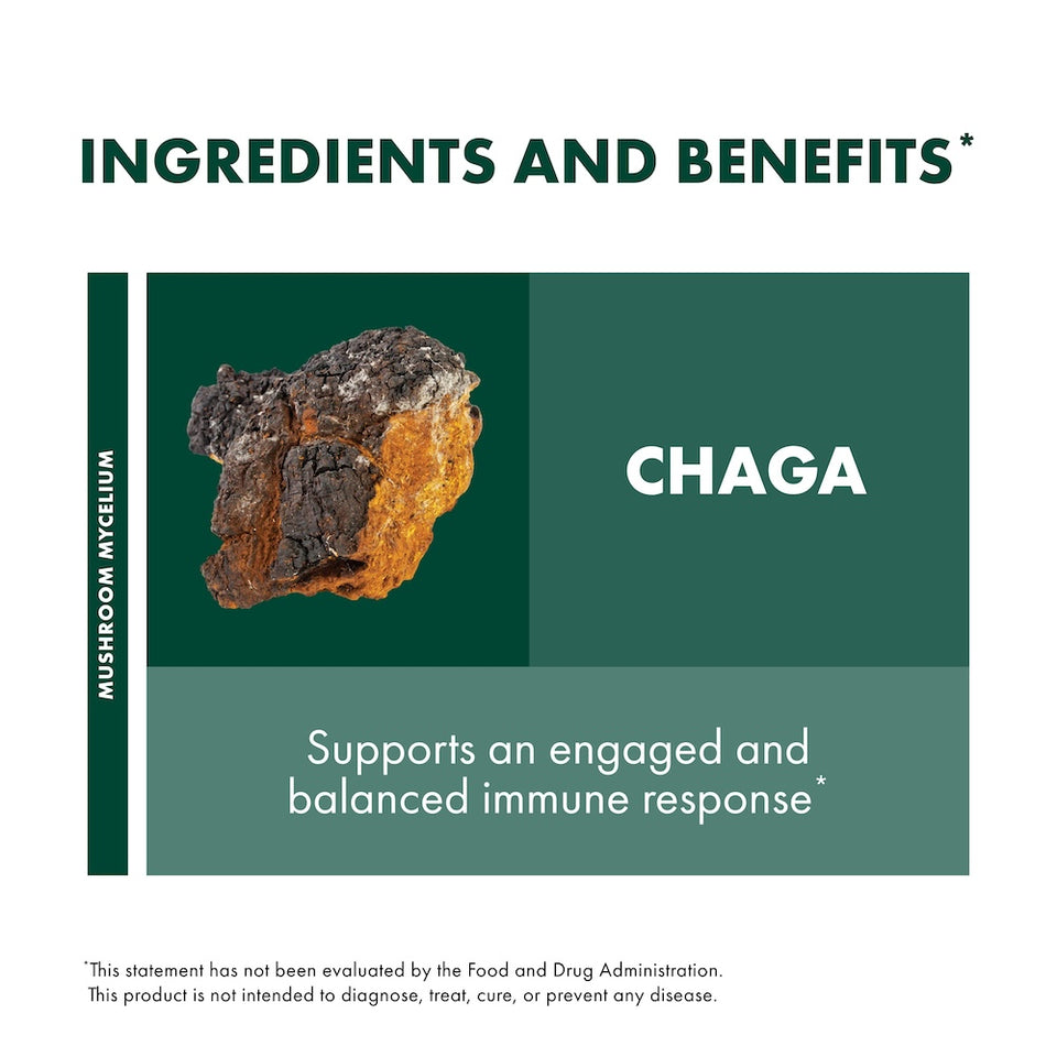 Chaga Capsules