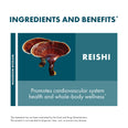 Reishi Powder