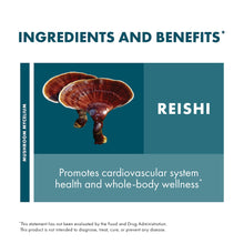 Reishi Powder