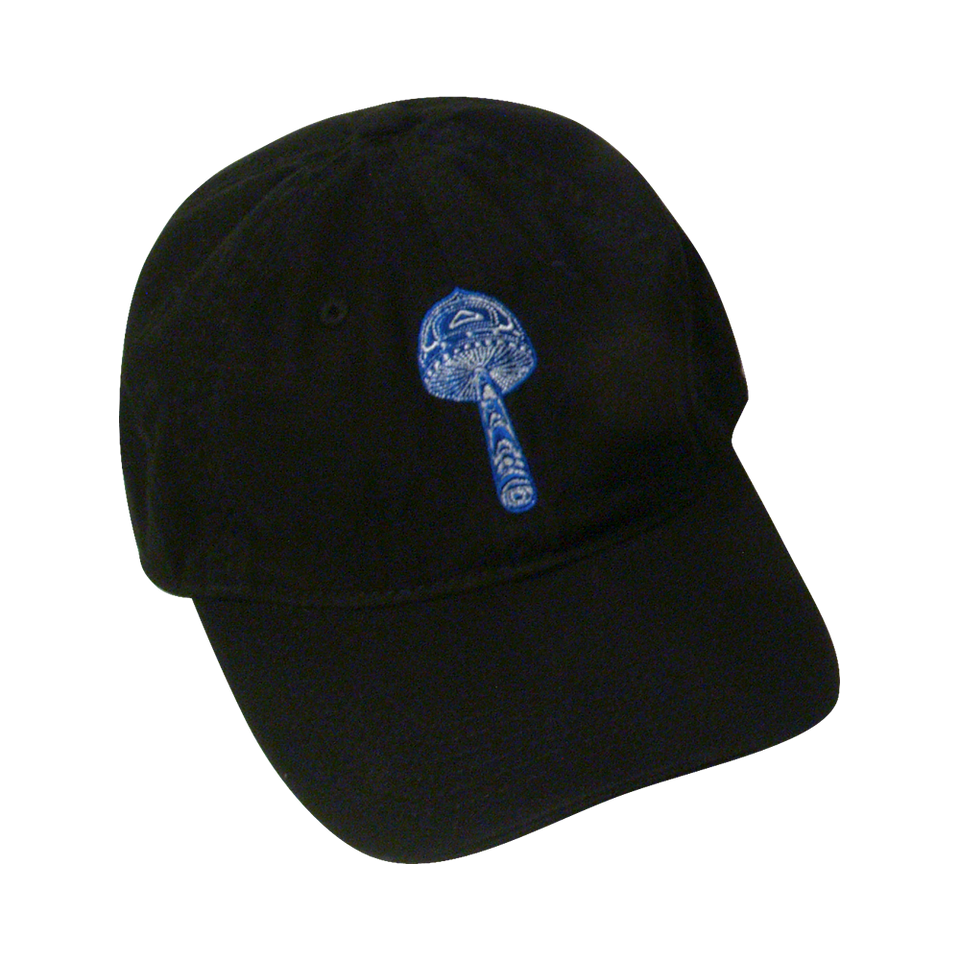 Gifts & Gear