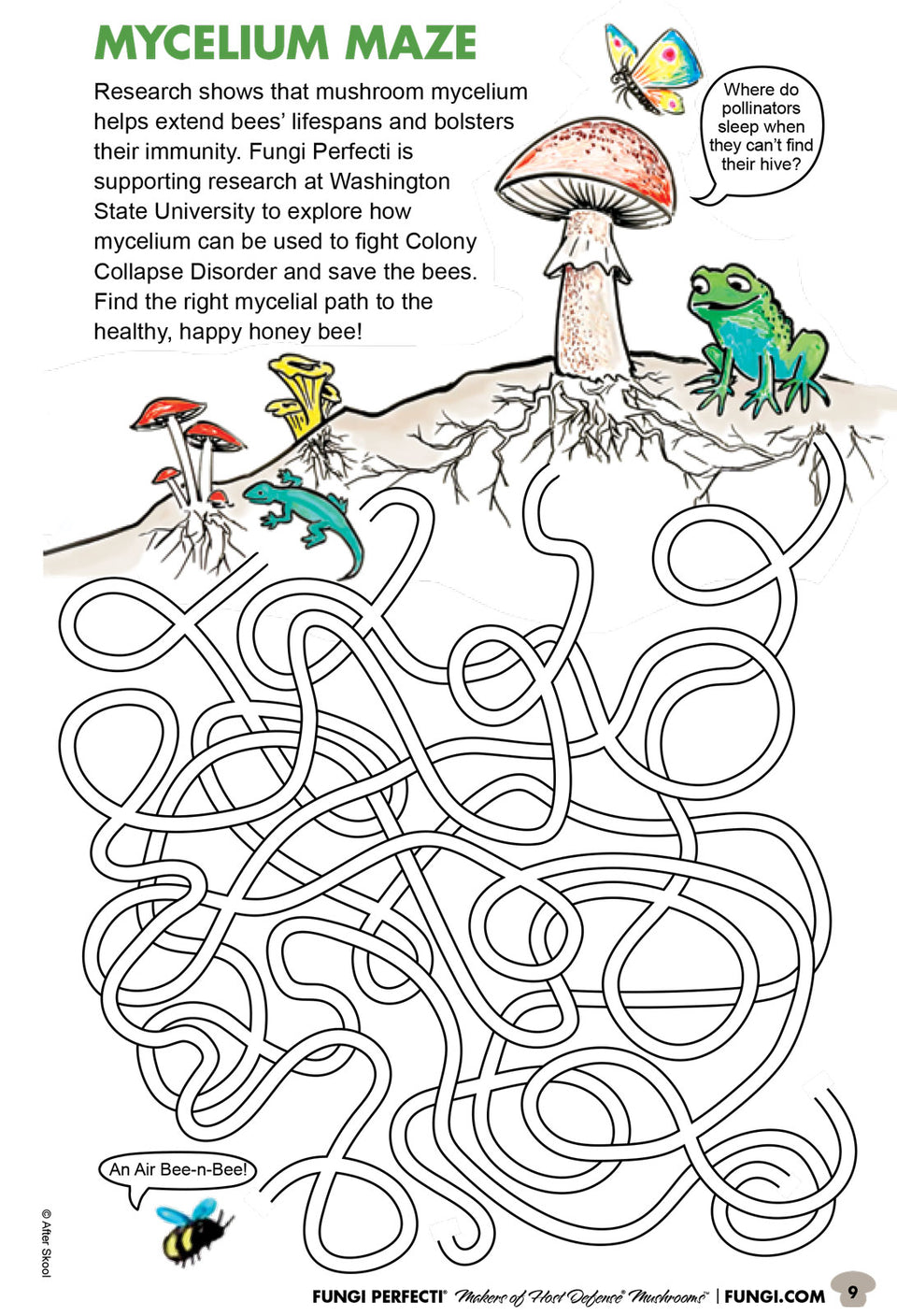Fungi Perfecti® Mushroom Fun Time Activity Book